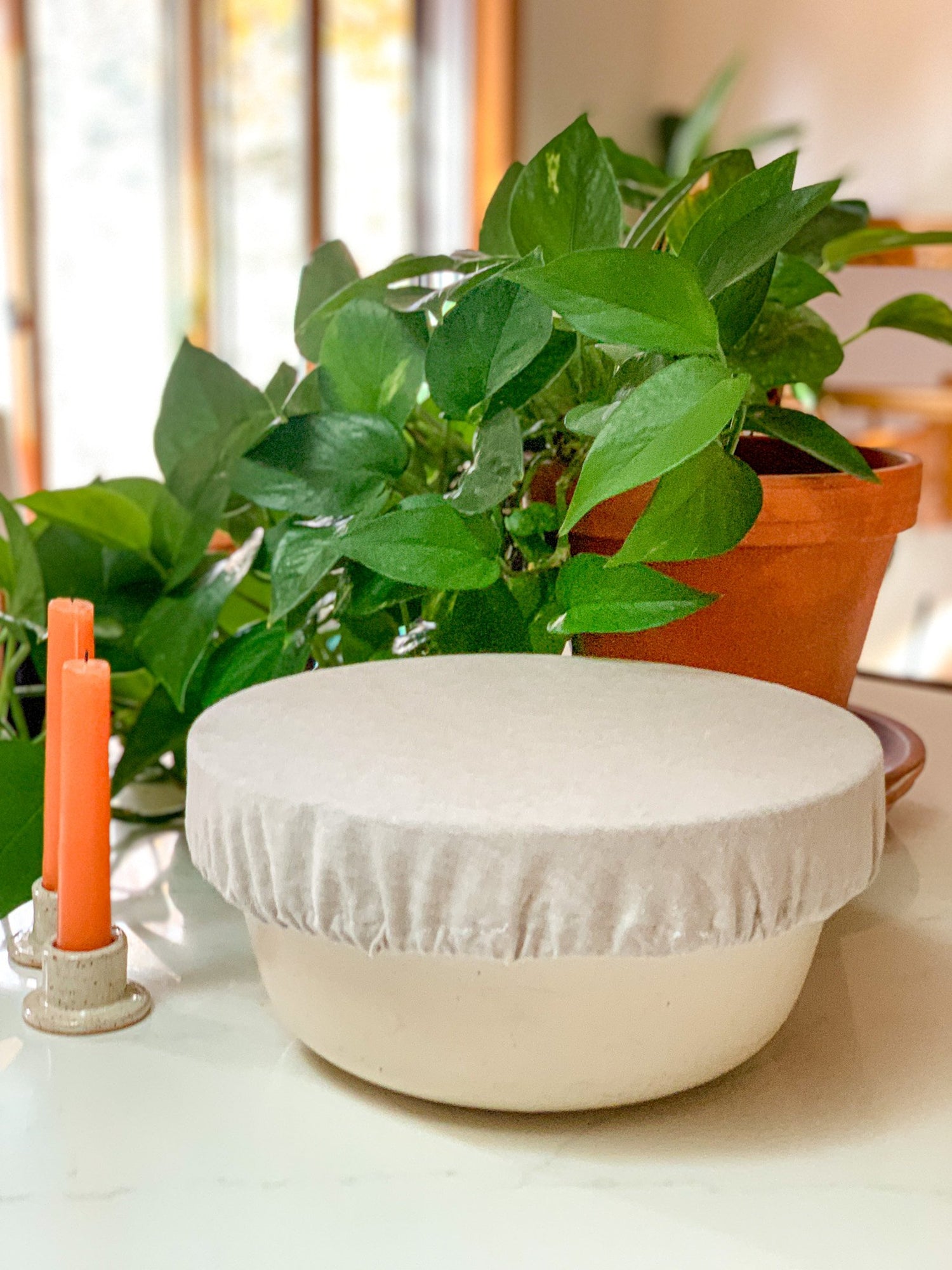 DIY Reusable Bowl Cover – Wellspring Designs
